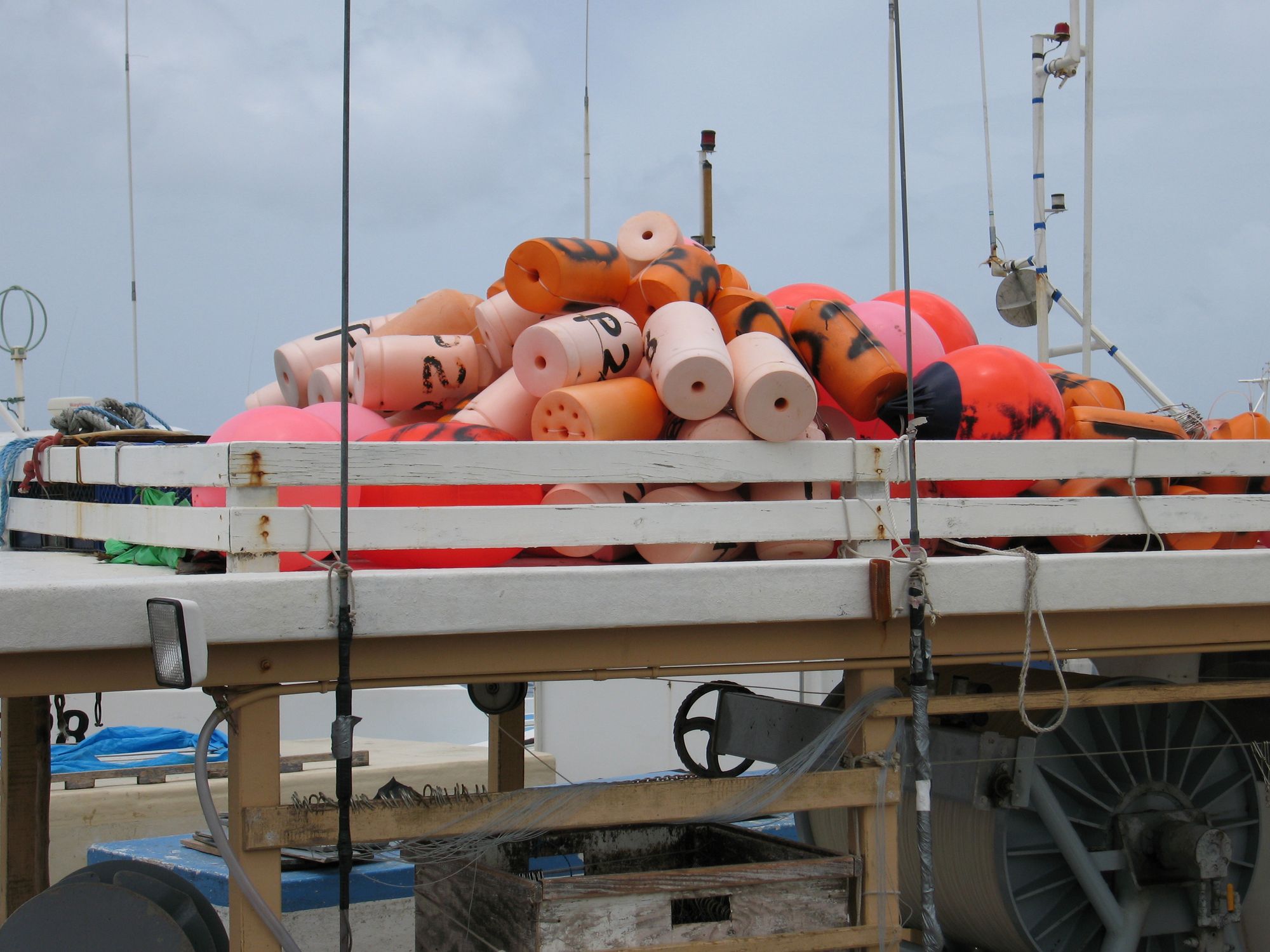 Report on the vertical longline and bottom longline training workshop ...