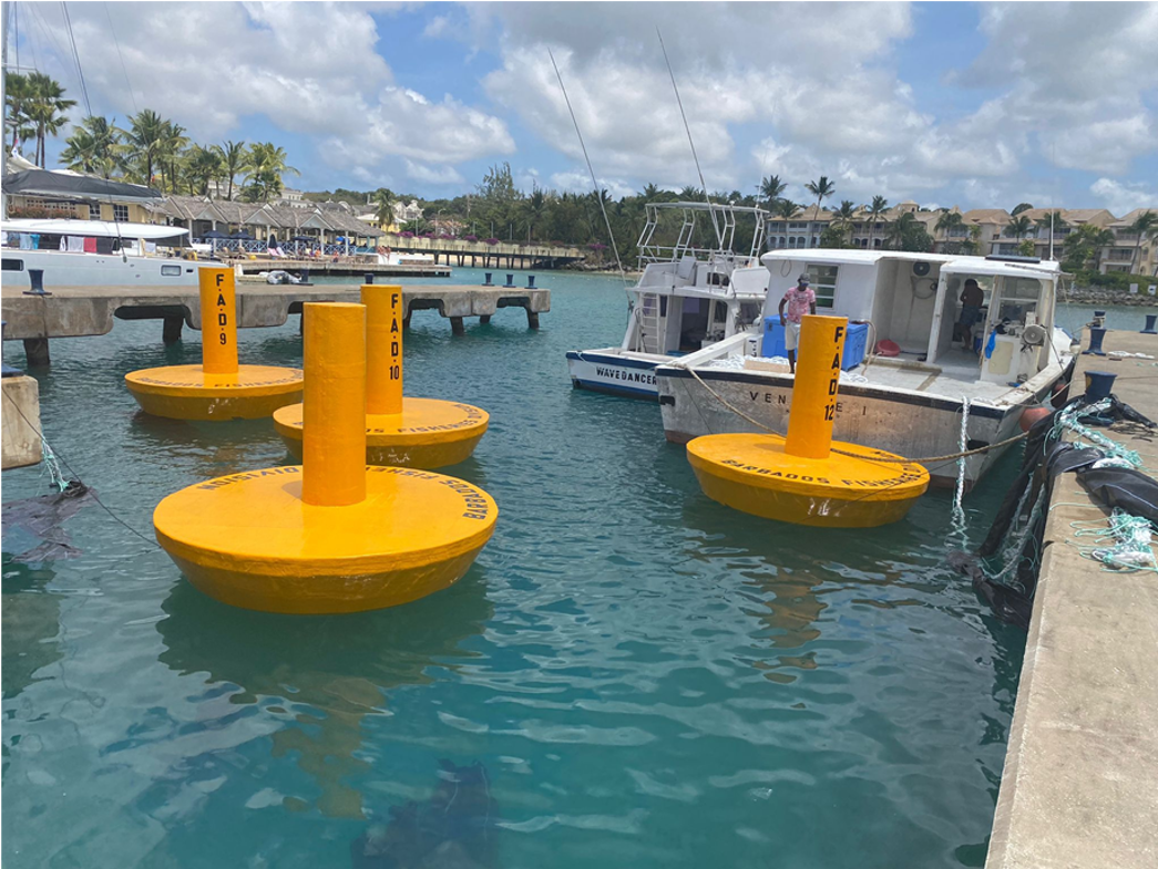 Fish Aggregating Devices (FADs)