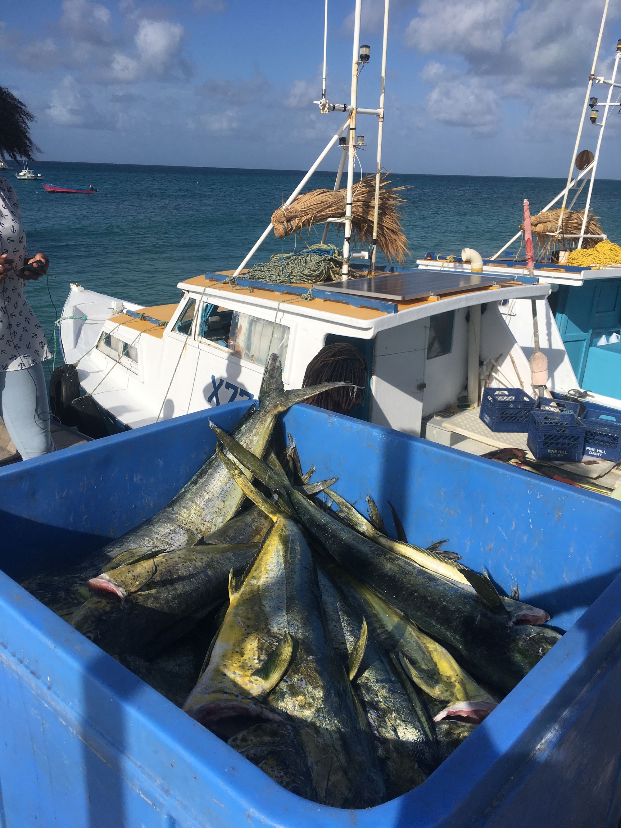 Half a century of fisheries in Barbados
