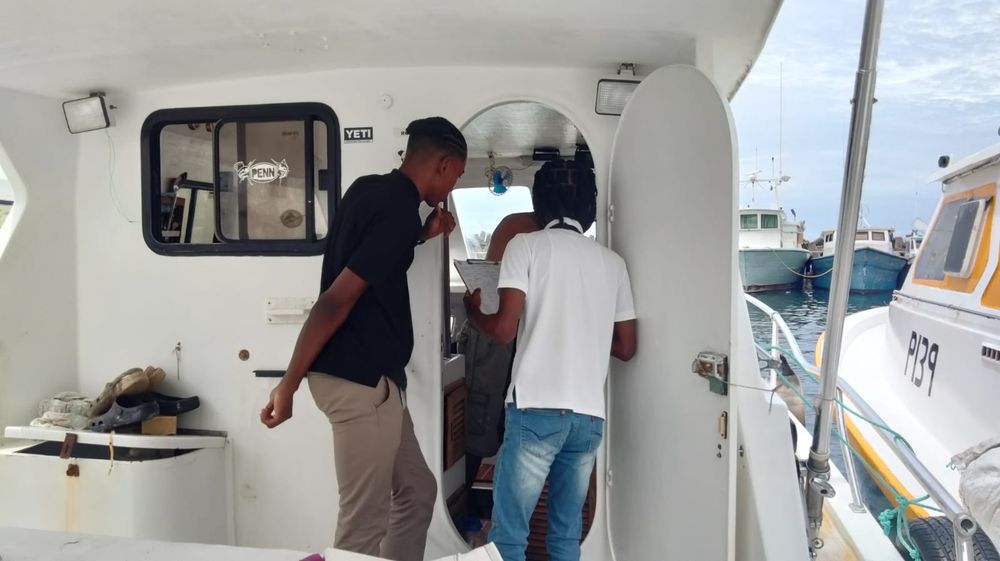 Apply to be an intern! (Summer 2024)