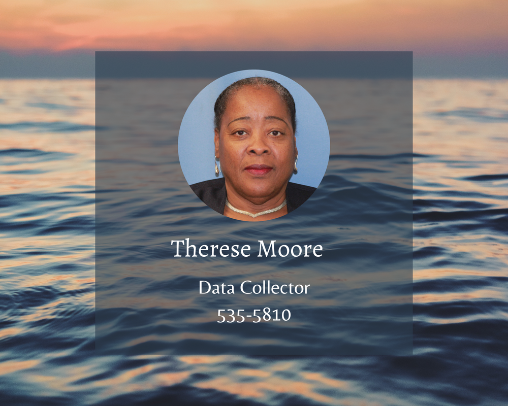 The Fisheries Division Team