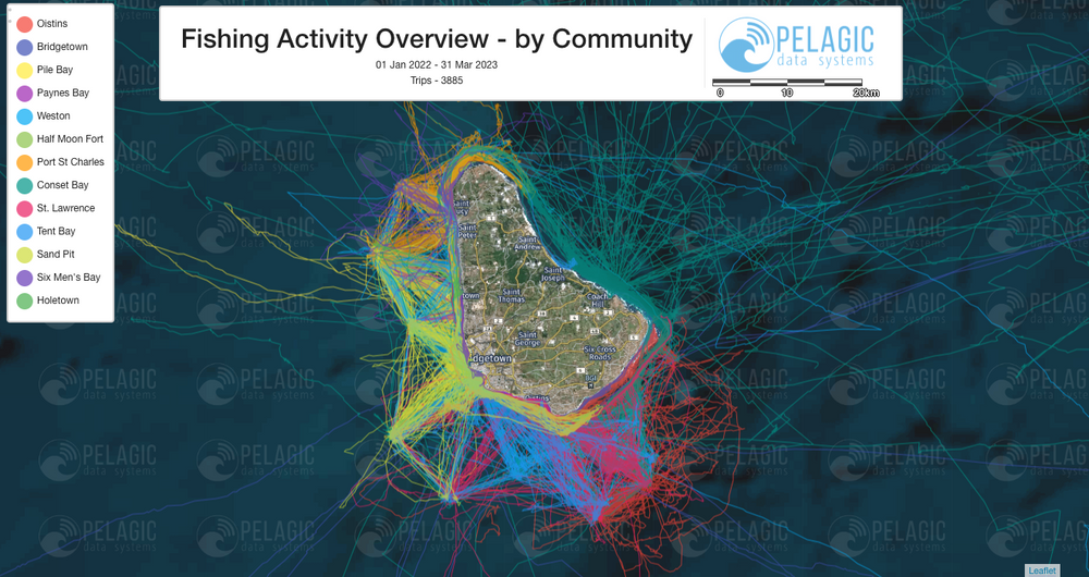 DigiFish: Data Driven Solutions to Inform Decision Making