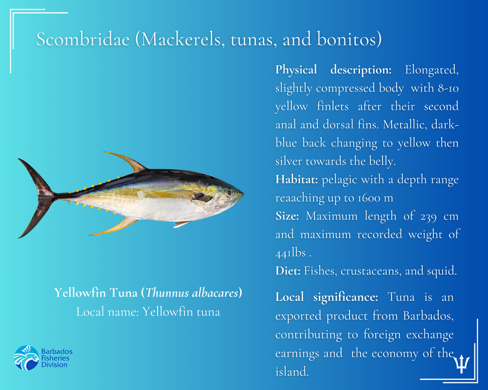 Barbados Fisheries Atlas
