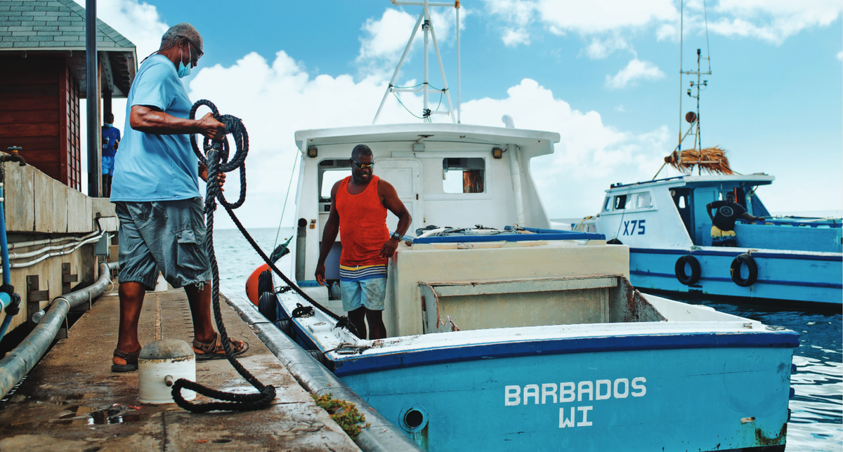 Special feature: Steven 'Skippy' Bourne