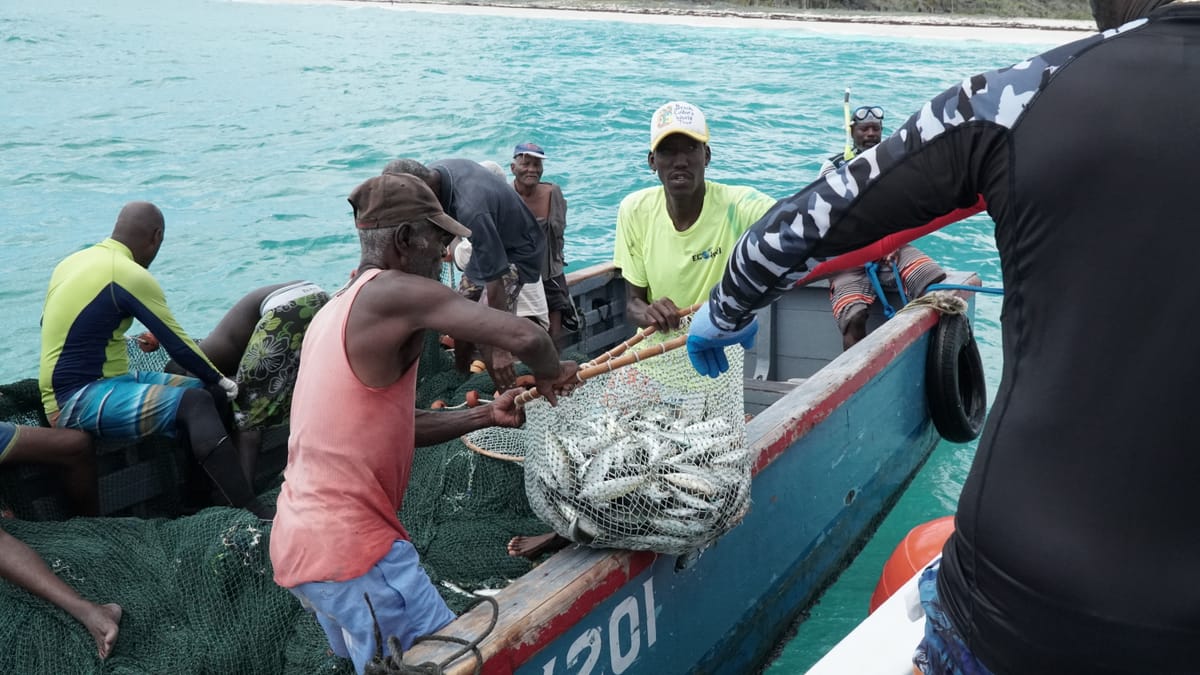 March 2025 Fish Landings Summary Report