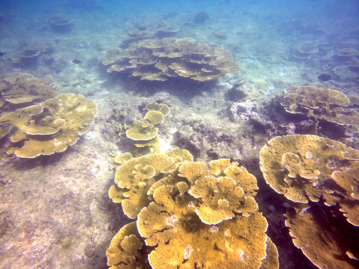 UN World Oceans Day Message