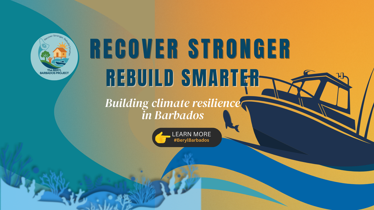 THE BERYL BARBADOS PROJECT