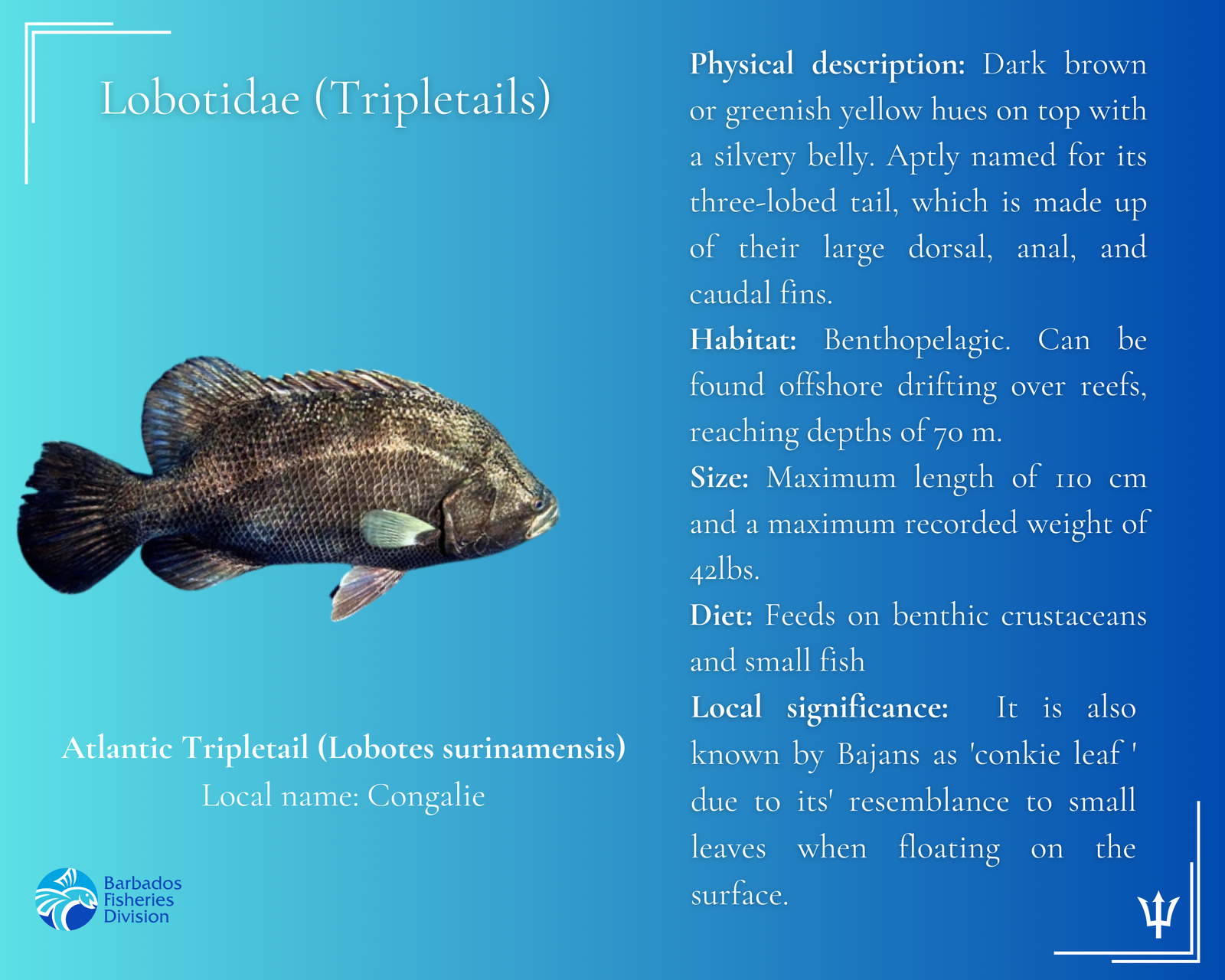 Barbados Fisheries Atlas