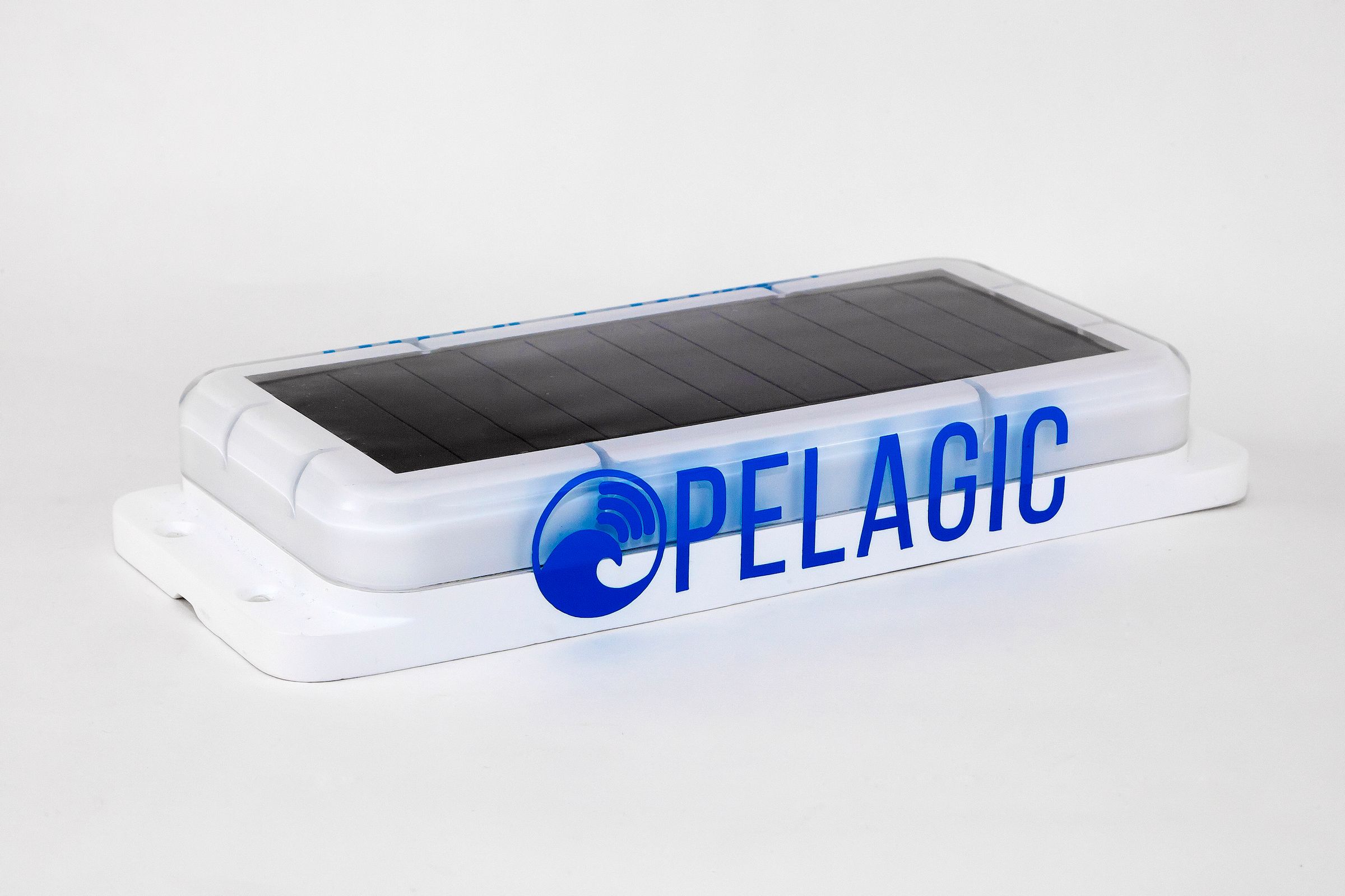 DigiFish: Data Driven Solutions to Inform Decision Making