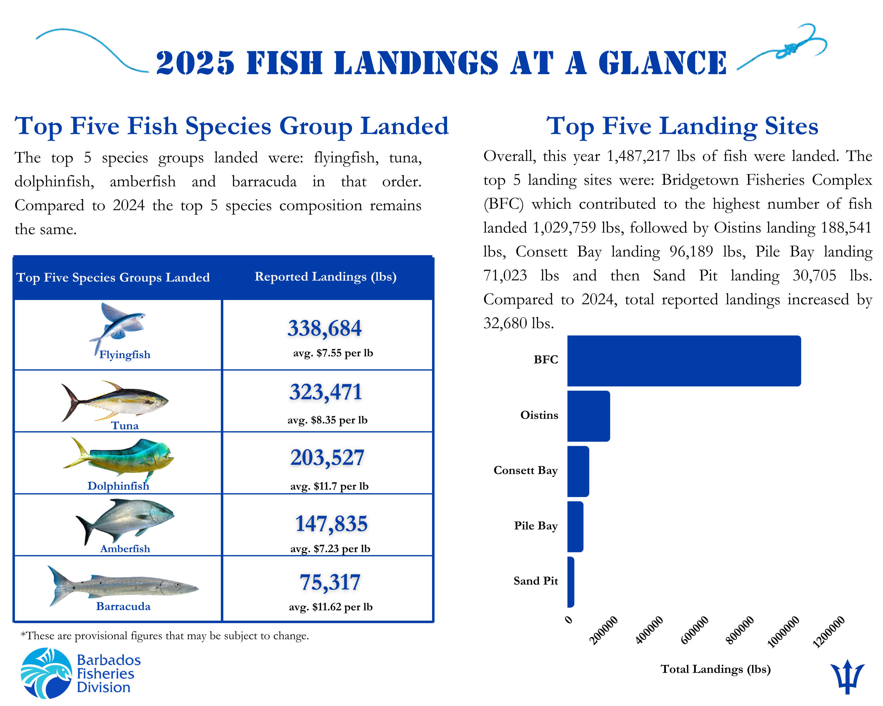 2025 Fish Landings at a Glance